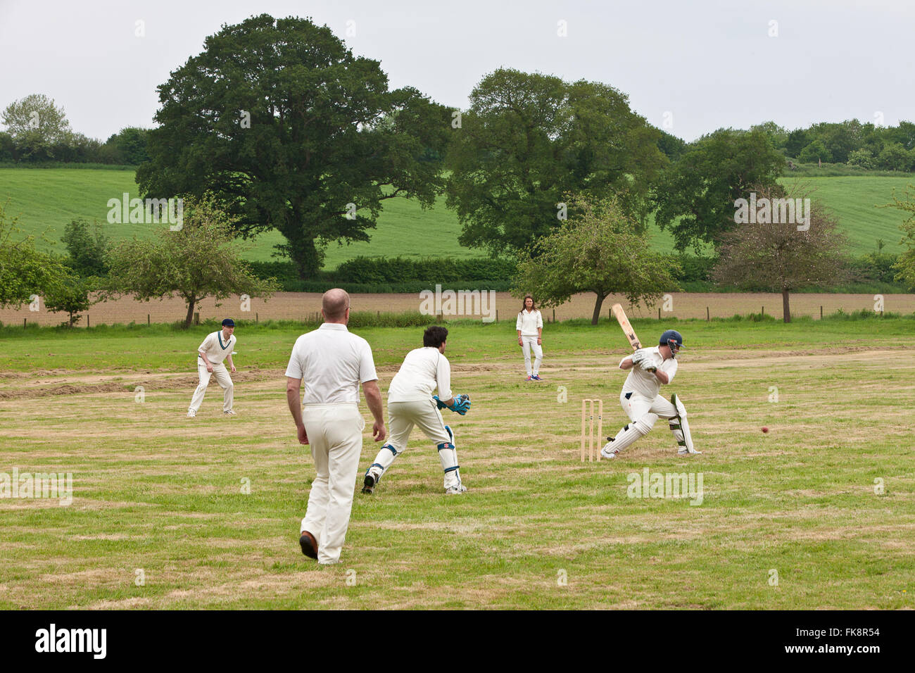 Cricket reception hi-res stock photography and images - Alamy