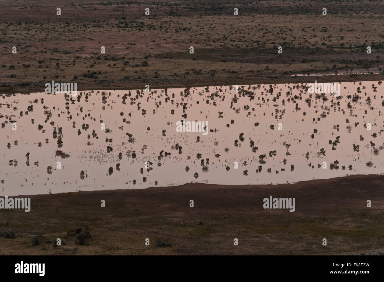 Aerial - Simpson Desert Regional Reserve. The many sand dunes and water ...