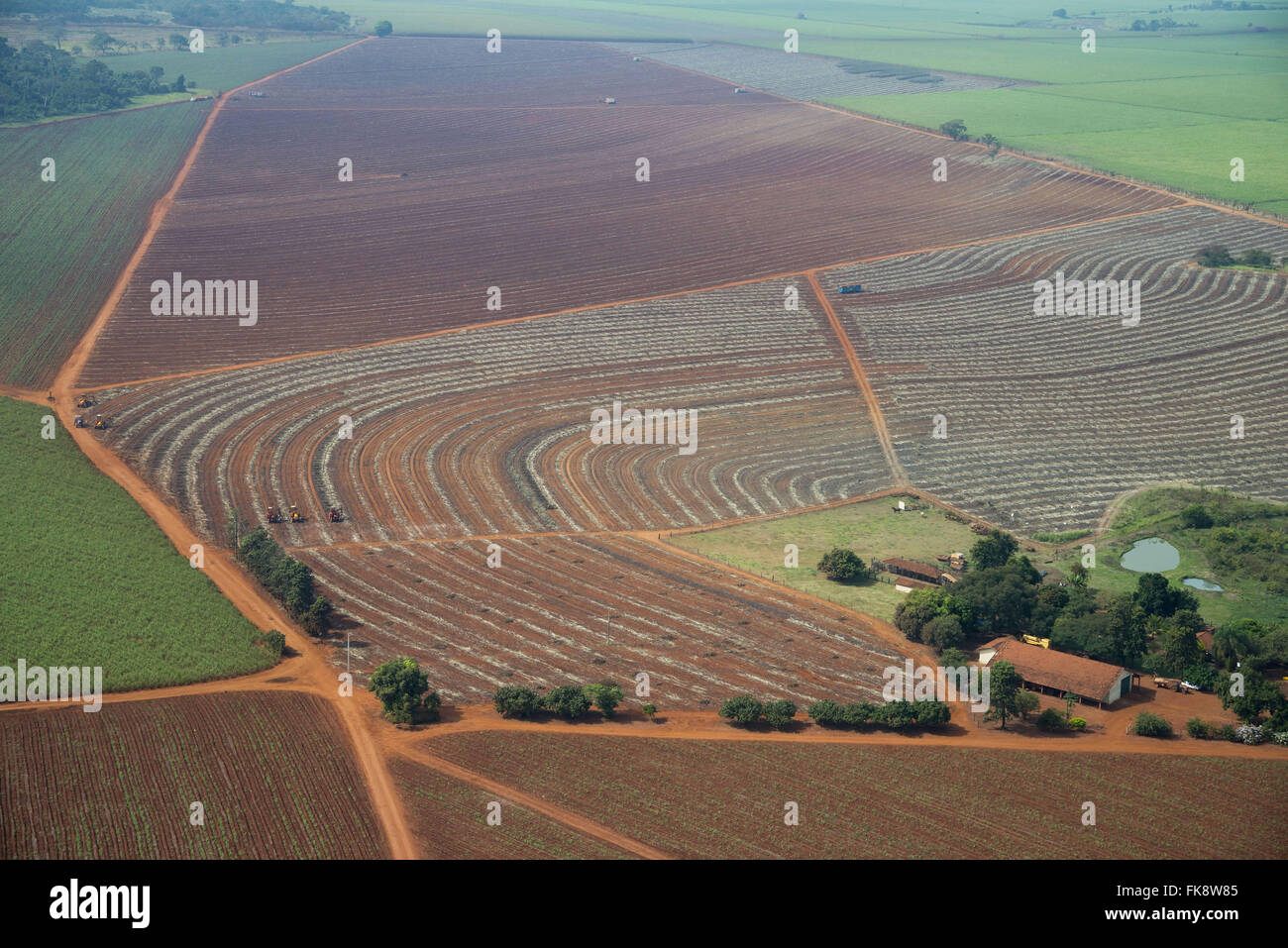 Aerial view of plantation of cane sugar with rural property and area ...