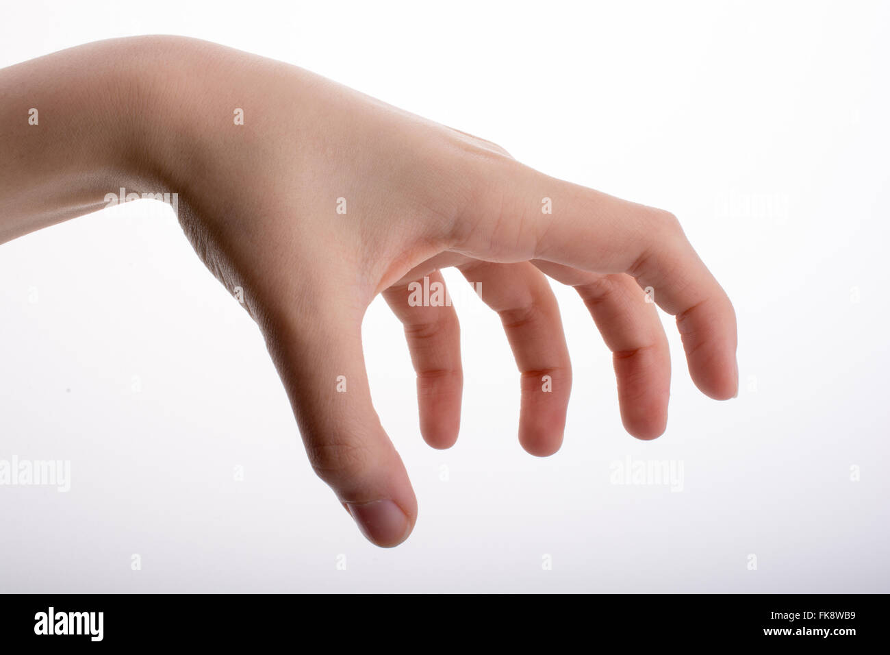 Hand holding on a white background Stock Photo - Alamy