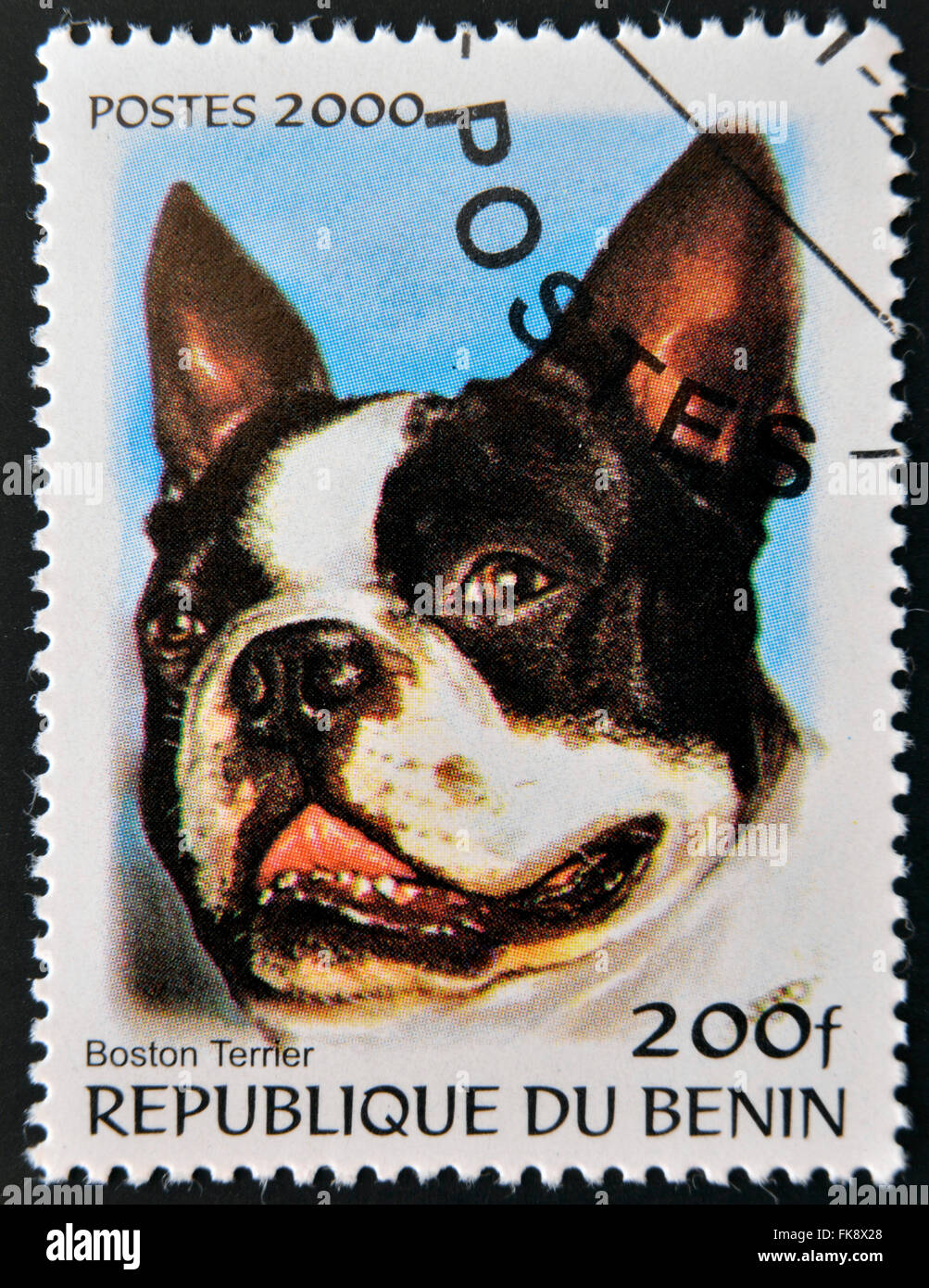 BENIN - CIRCA 2000: A stamp printed in Benin shows a dog, Boston ...