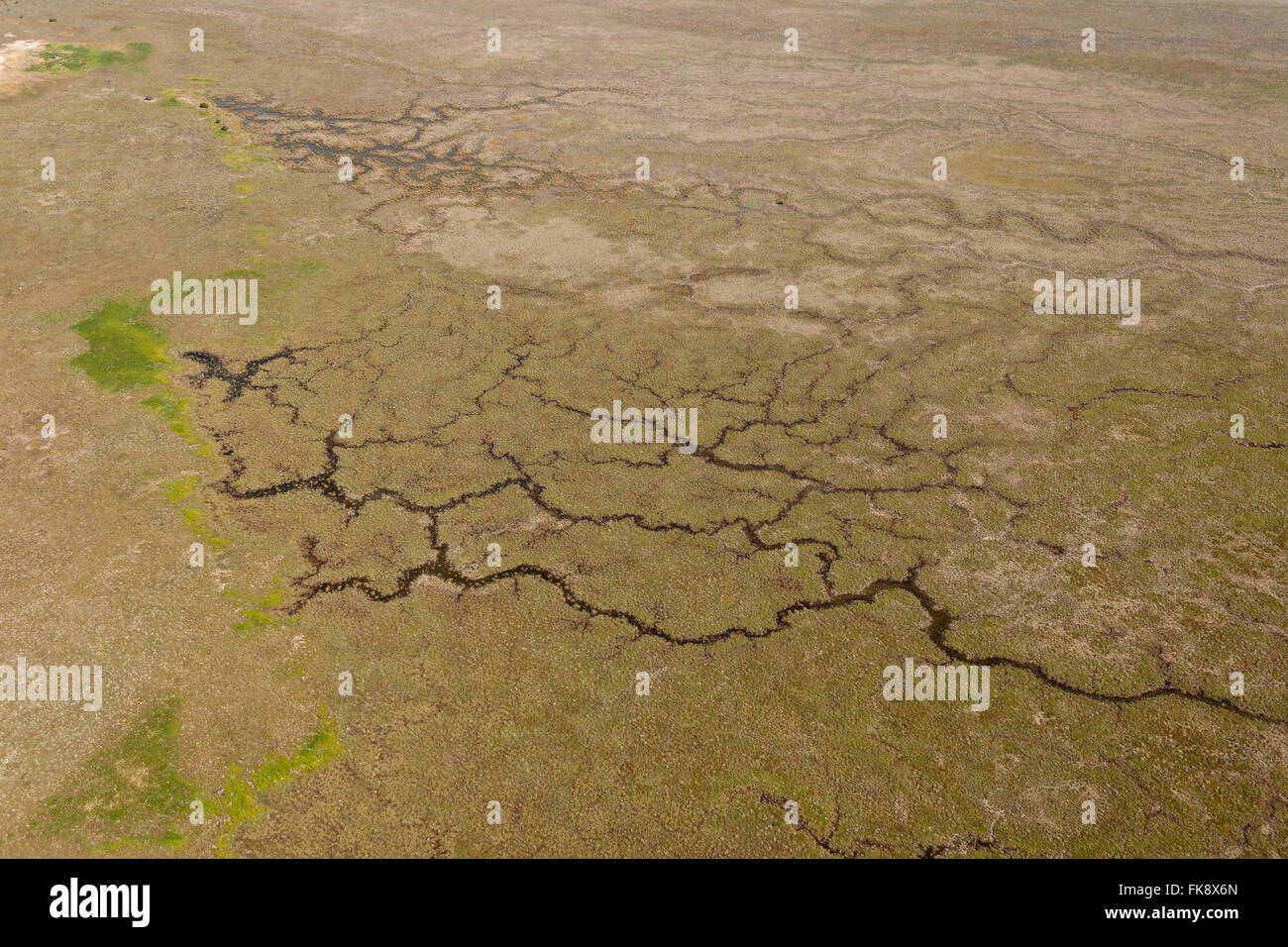 Aerial - Water pools and vegetation in the claypans of the Simpson ...