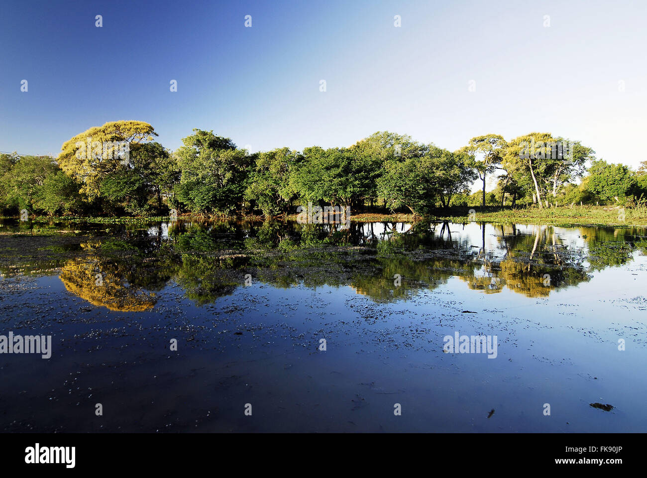 Cambara hi-res stock photography and images - Alamy