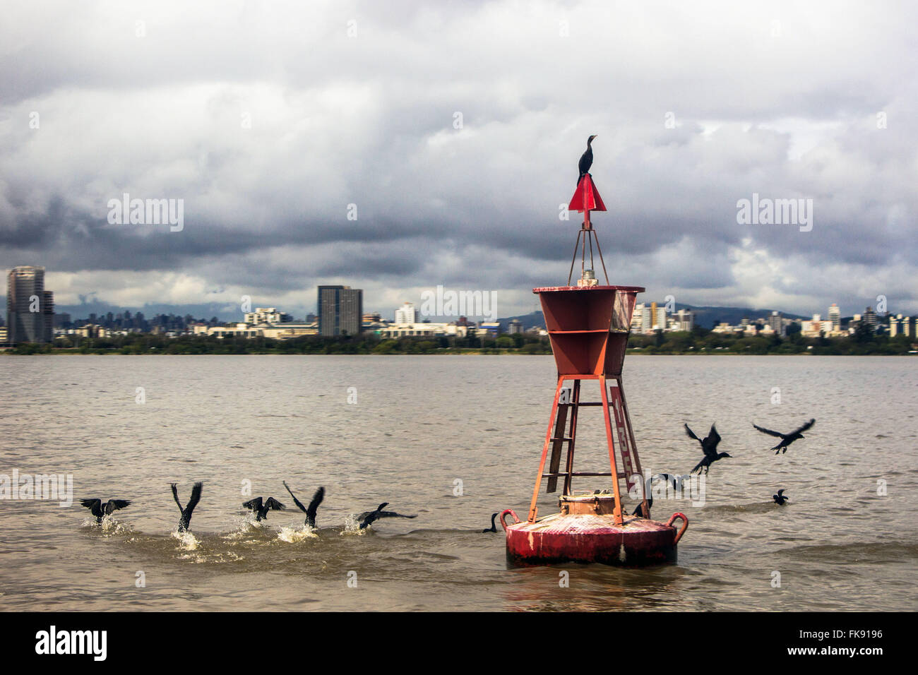 Birds along the Maritime Signal buoy on Lake Guaiba Stock Photo - Alamy