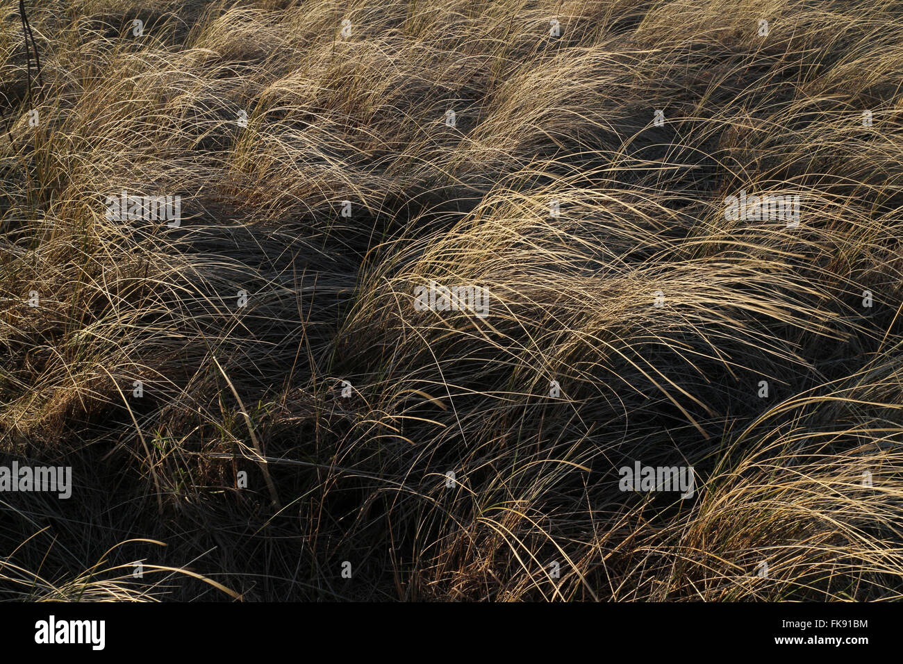 Queens link aberdeen hi-res stock photography and images - Alamy