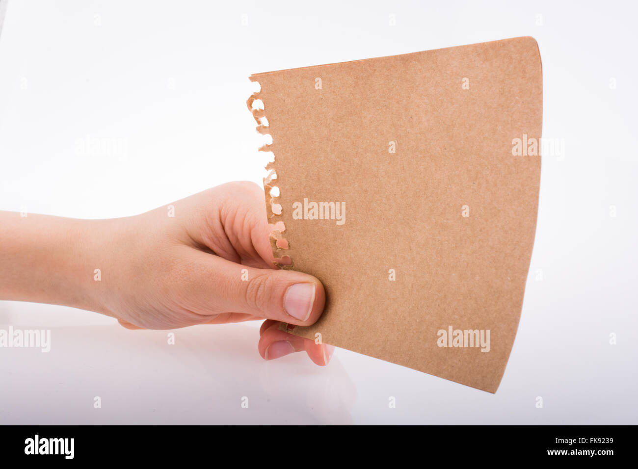 Hand holding a sheet of paper on a white background Stock Photo - Alamy
