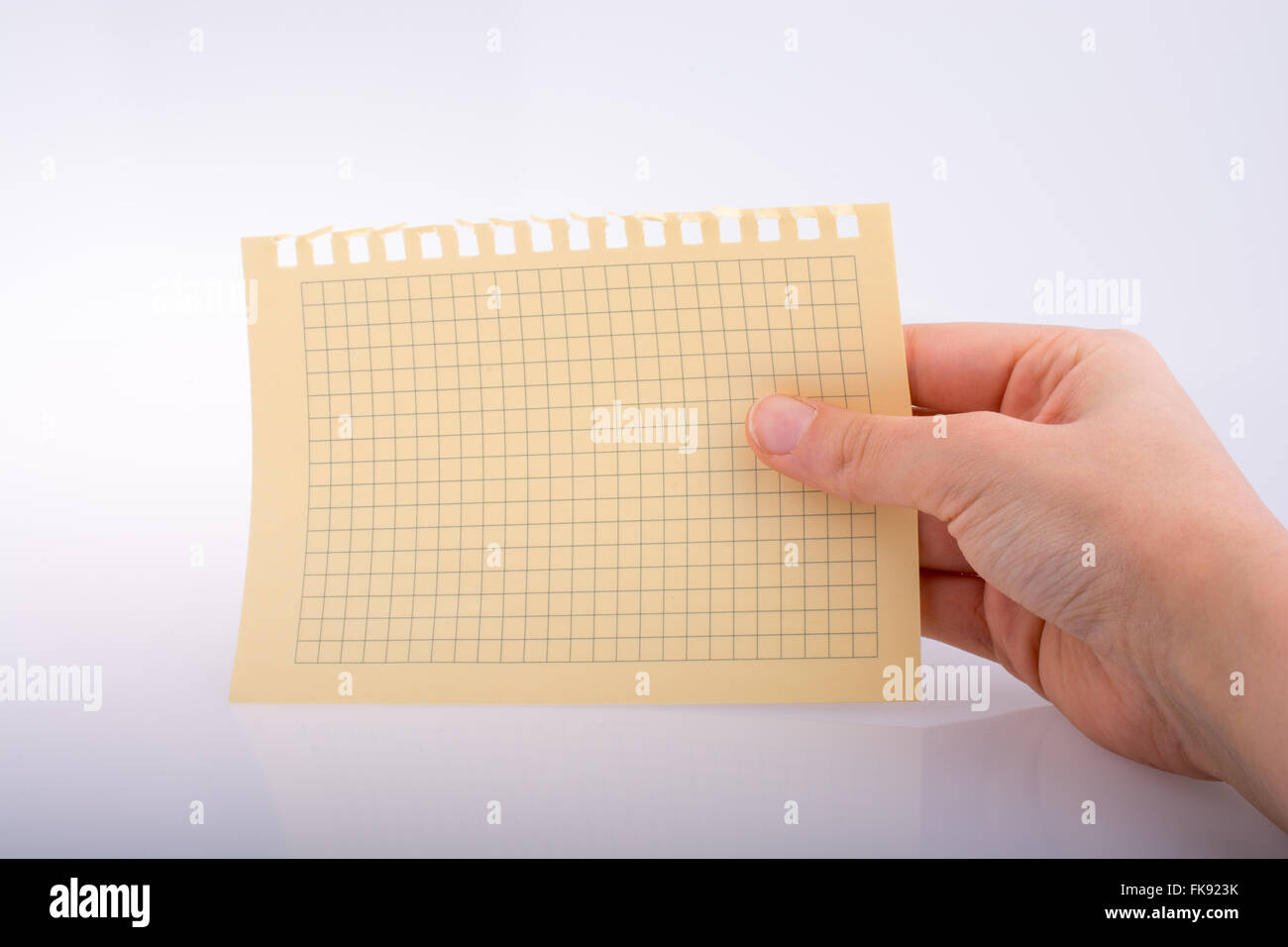 Hand holding a sheet of checked paper on a white background Stock Photo ...