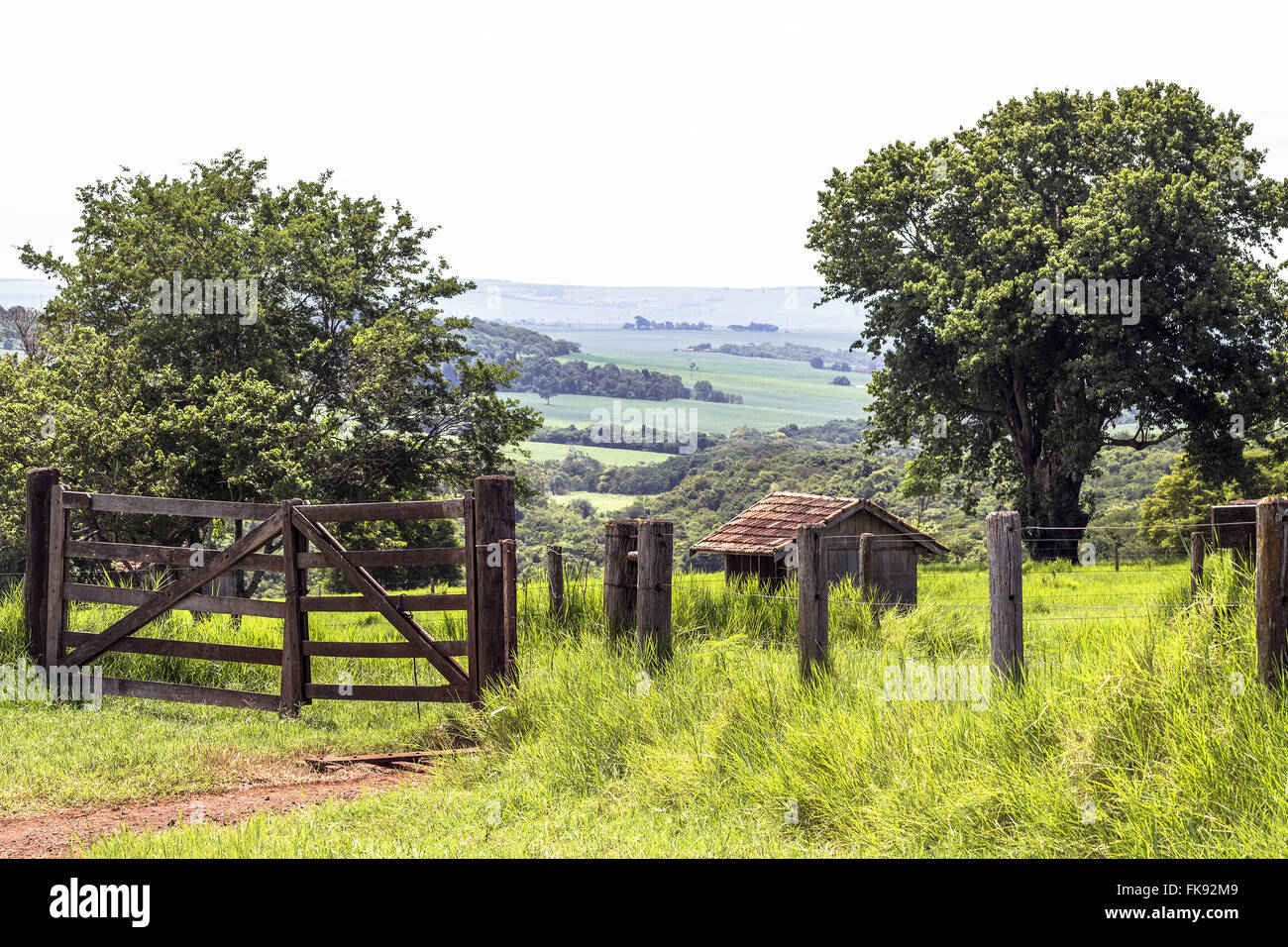 Livestock gate hi-res stock photography and images - Alamy