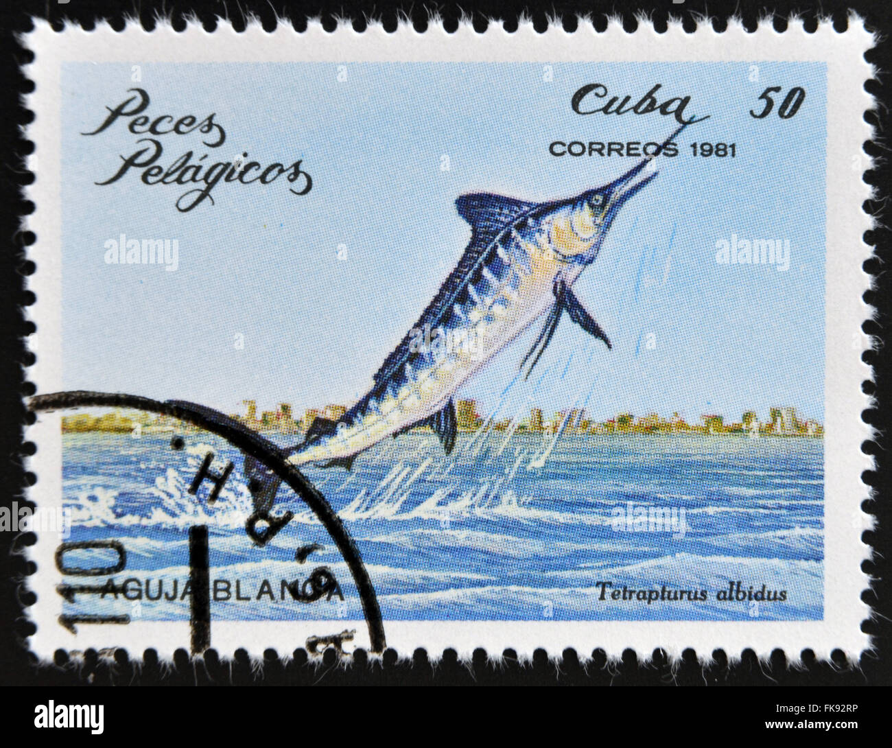 CUBA - CIRCA 1981: A Stamp printed in Cuba shows a white marlin with ...