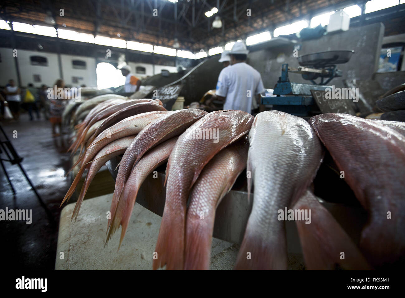 Brazil fish market hi-res stock photography and images - Alamy