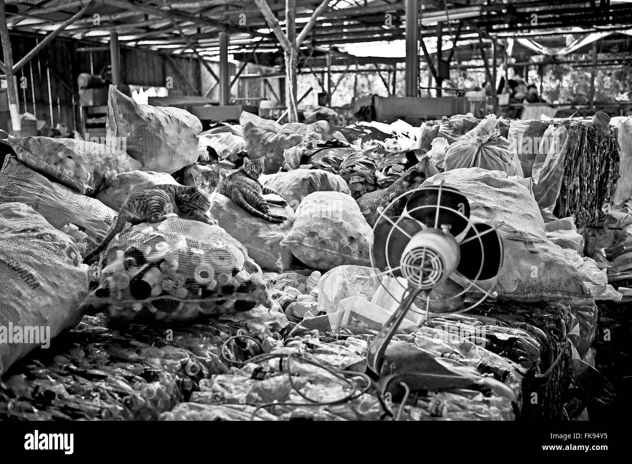 Shed with waste collected for recycling Stock Photo - Alamy