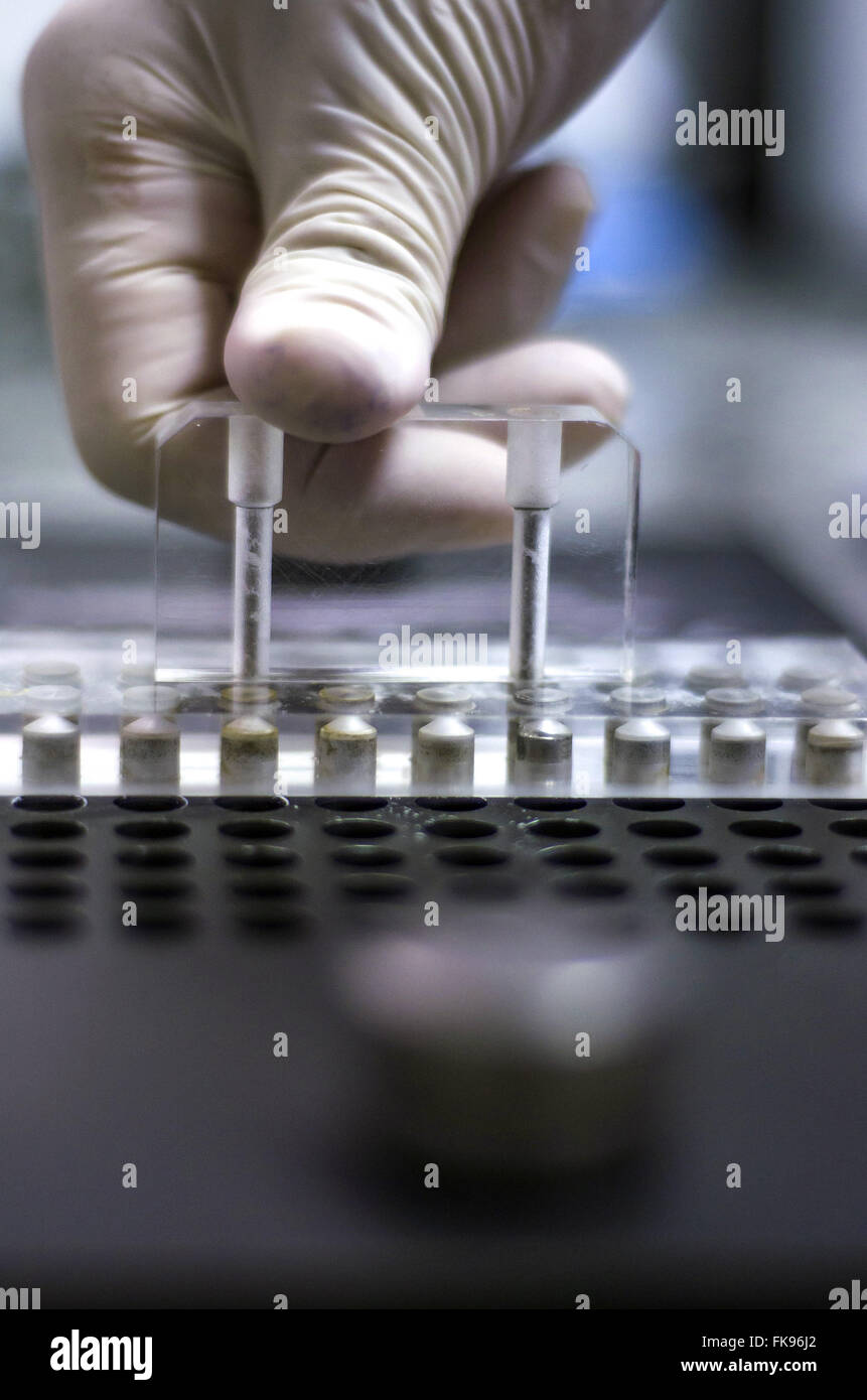 Sublingual tablet mold and compressed into drug handling laboratory ...
