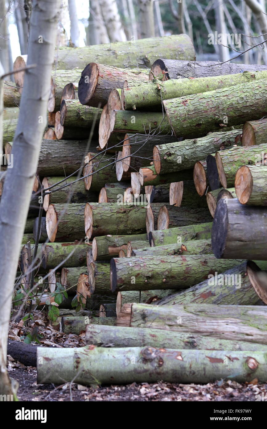Stack of log Stock Photo - Alamy