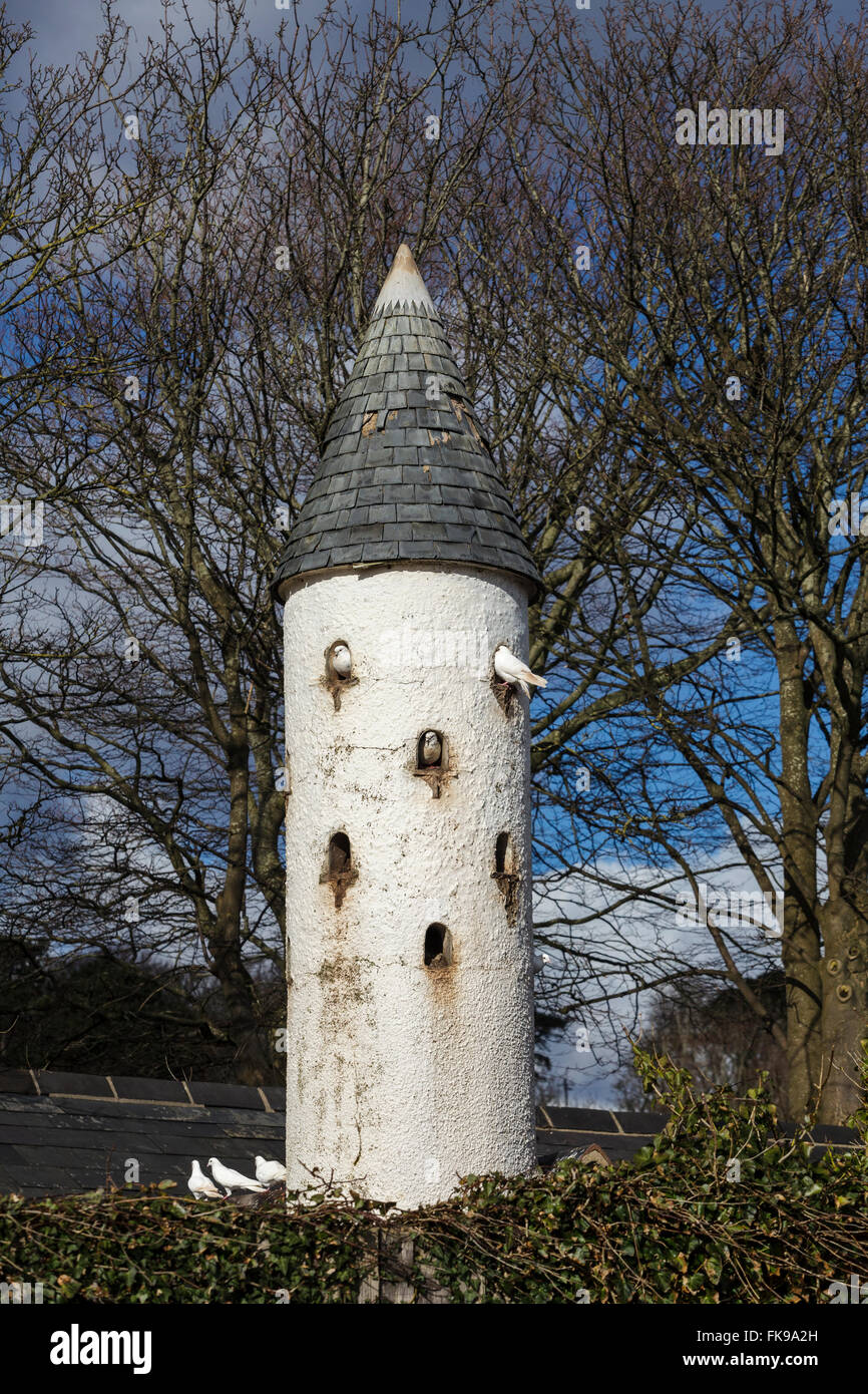 Tower and dove hi-res stock photography and images - Alamy