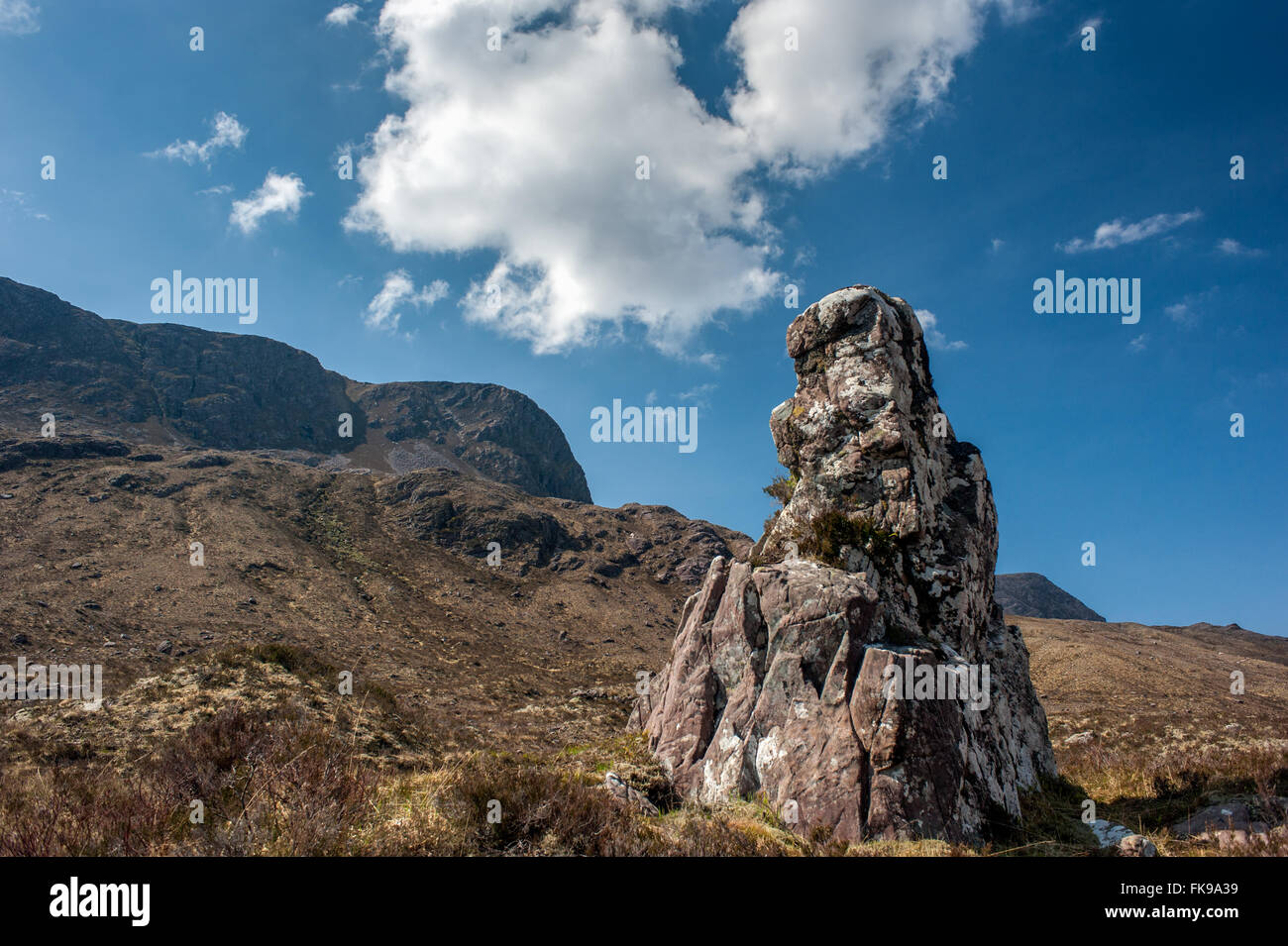 Fionn hi-res stock photography and images - Alamy
