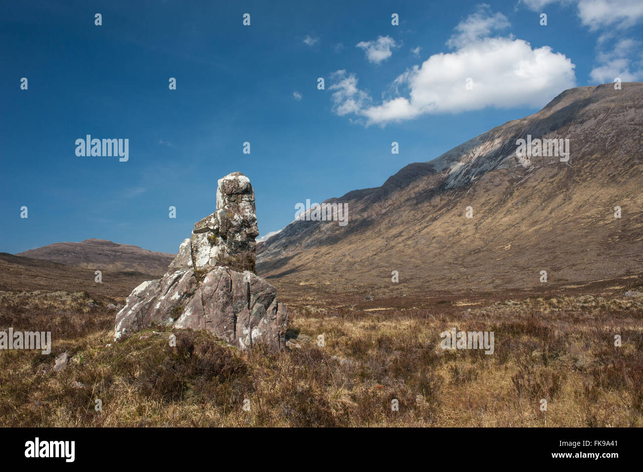 Fionn hi-res stock photography and images - Alamy