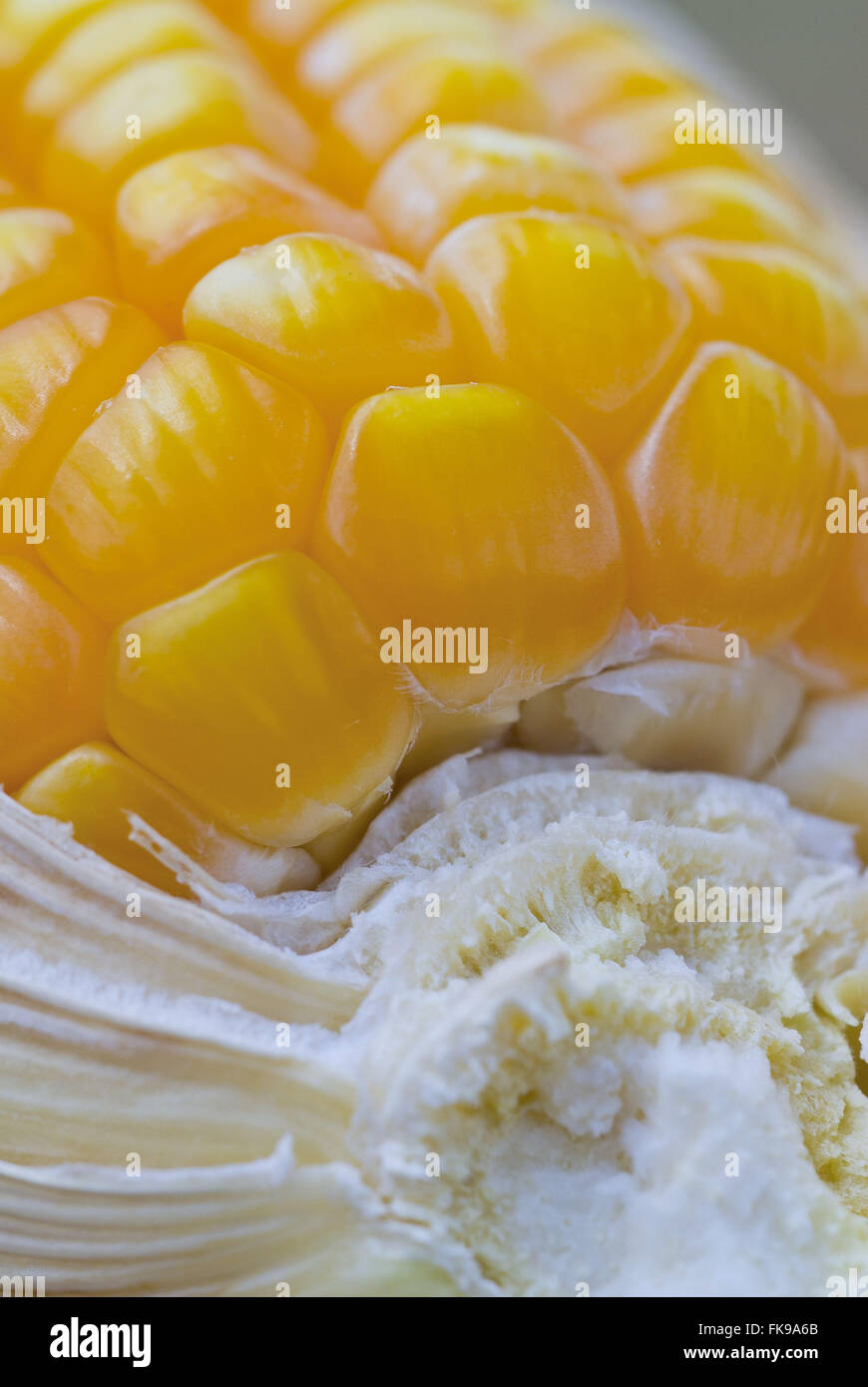 Cob corn hi-res stock photography and images - Alamy