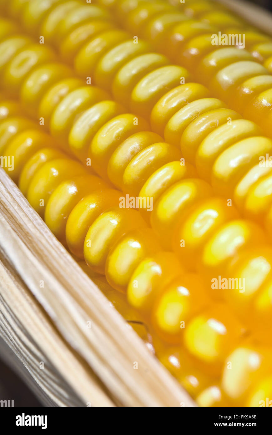 Detail of corn cob Stock Photo - Alamy
