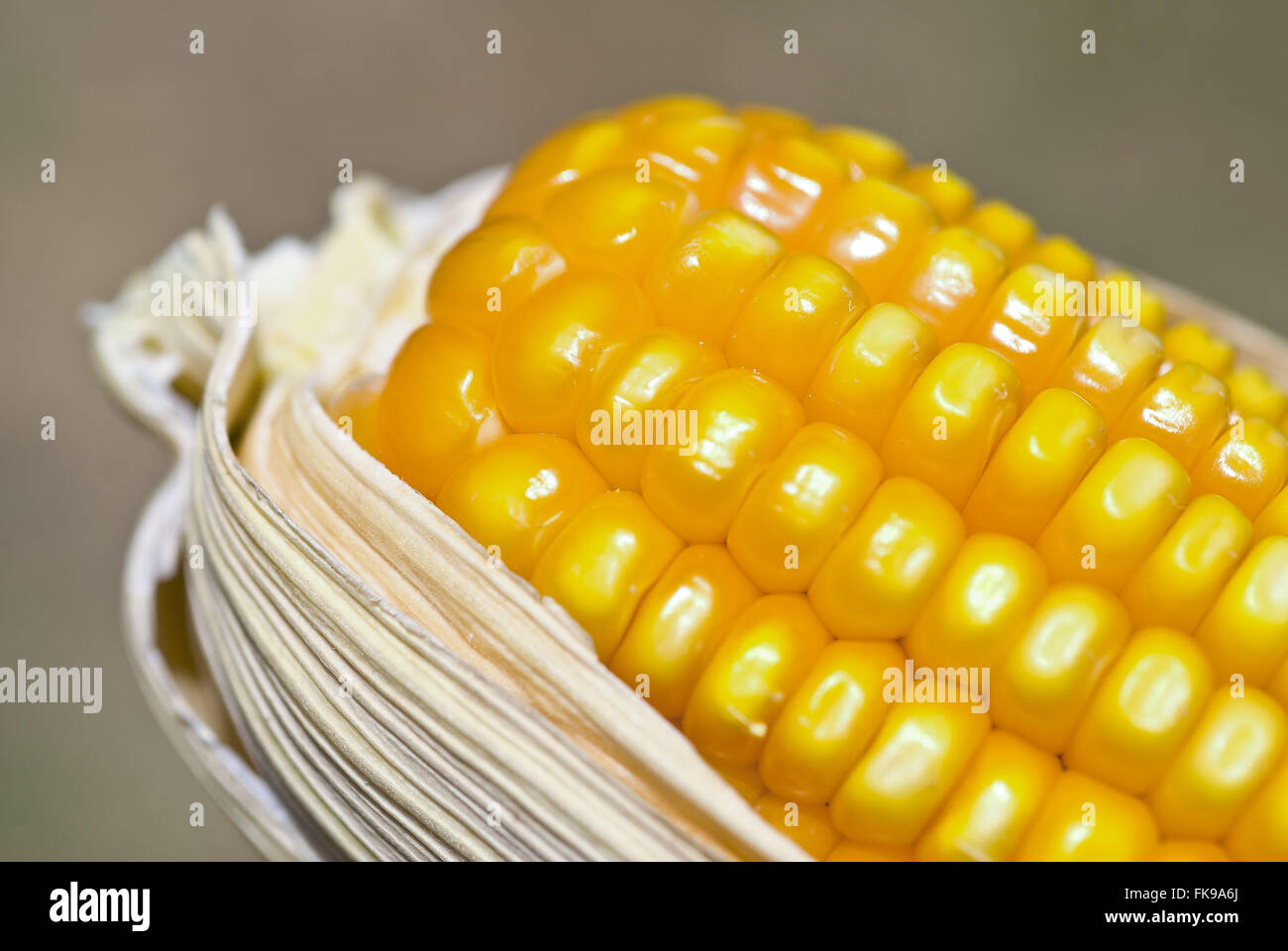 Detail of corn cob Stock Photo - Alamy