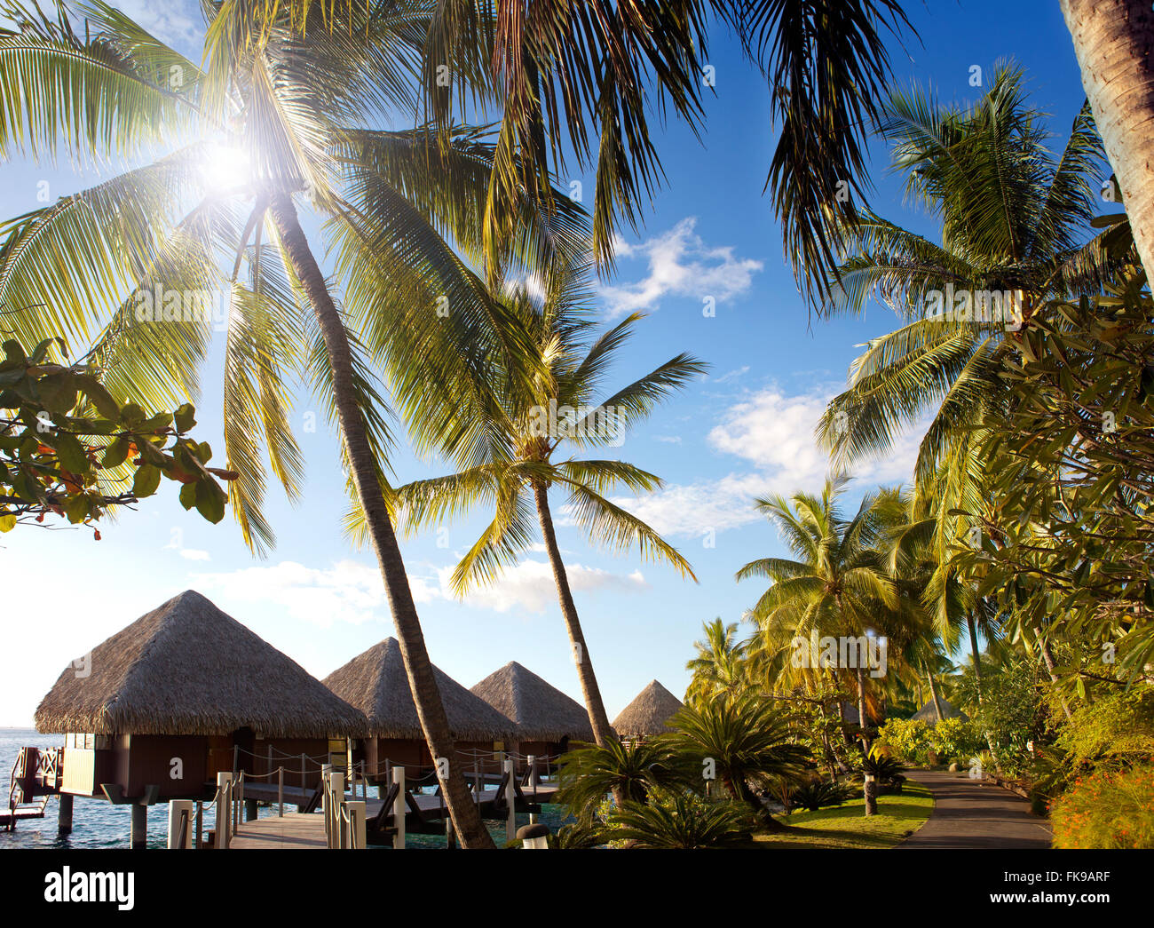 Seacoast with palm trees and small houses on water Stock Photo - Alamy
