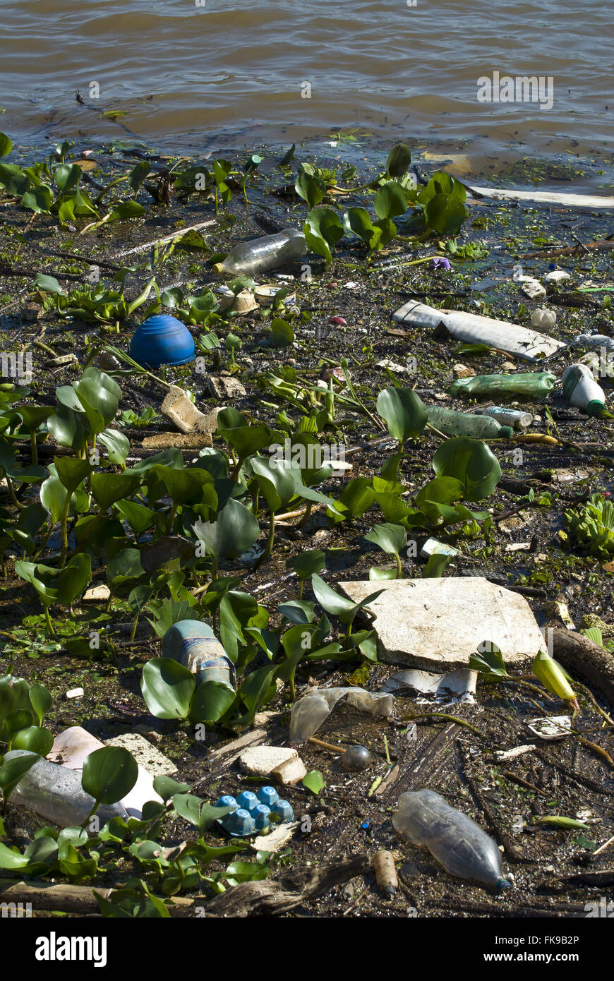 Accumulation of trash on the shore of Guaiba River in the docks of the ...