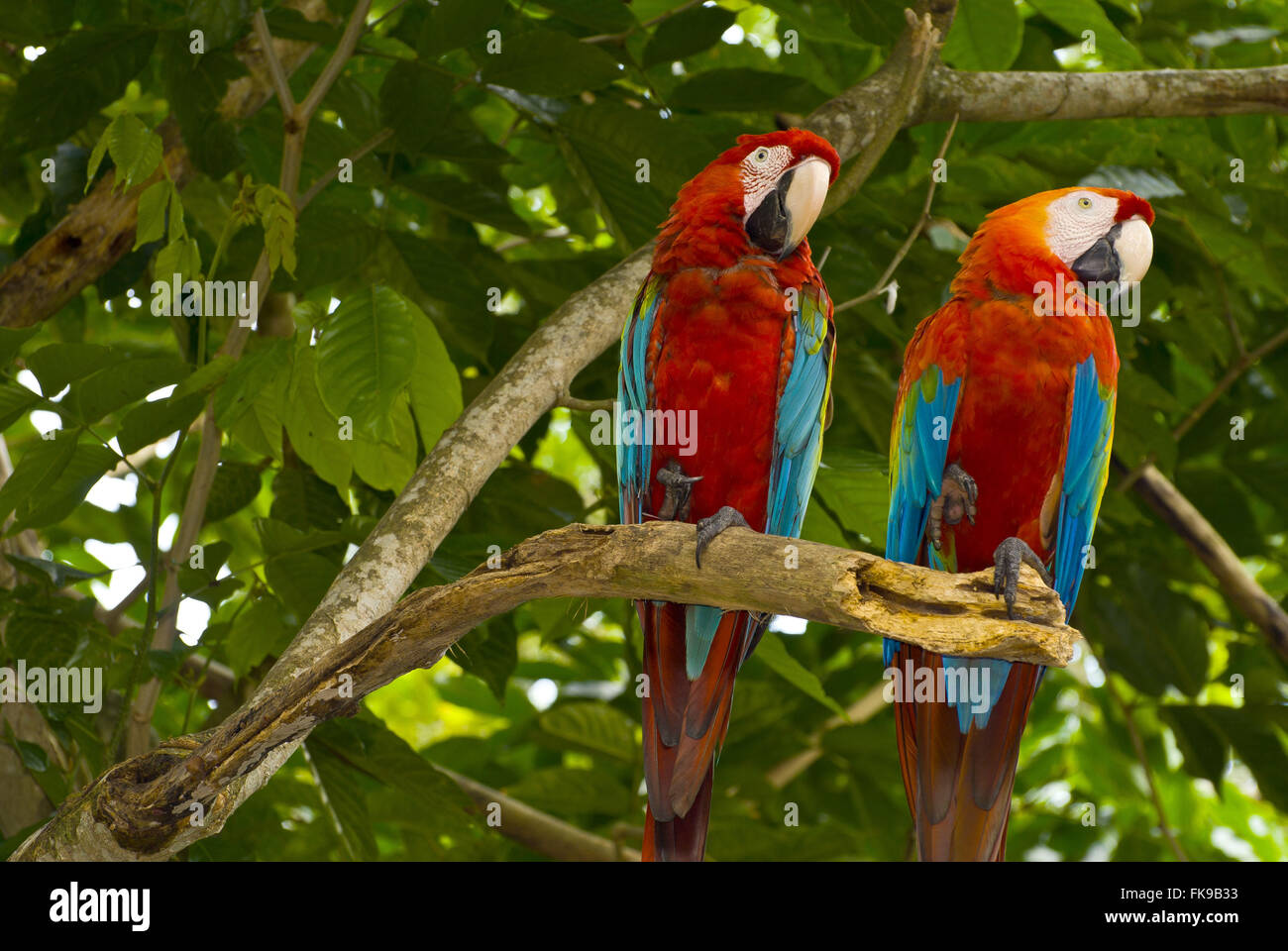Double Wide Stock Photos & Double Wide Stock Images - Alamy