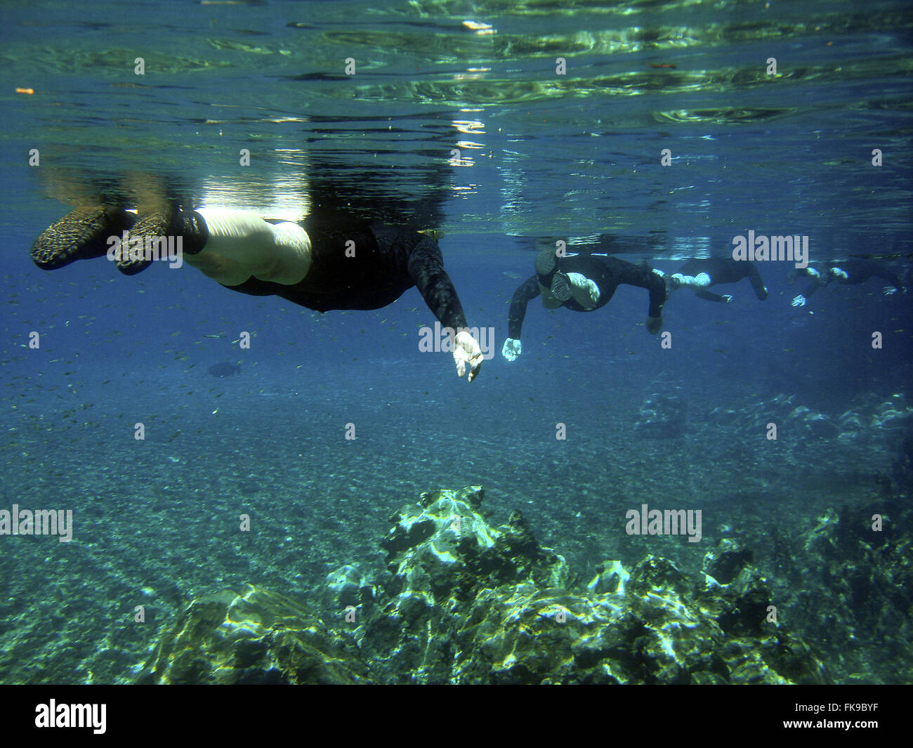 Diving observation of the River Plate in the city of Garden - MS Stock ...