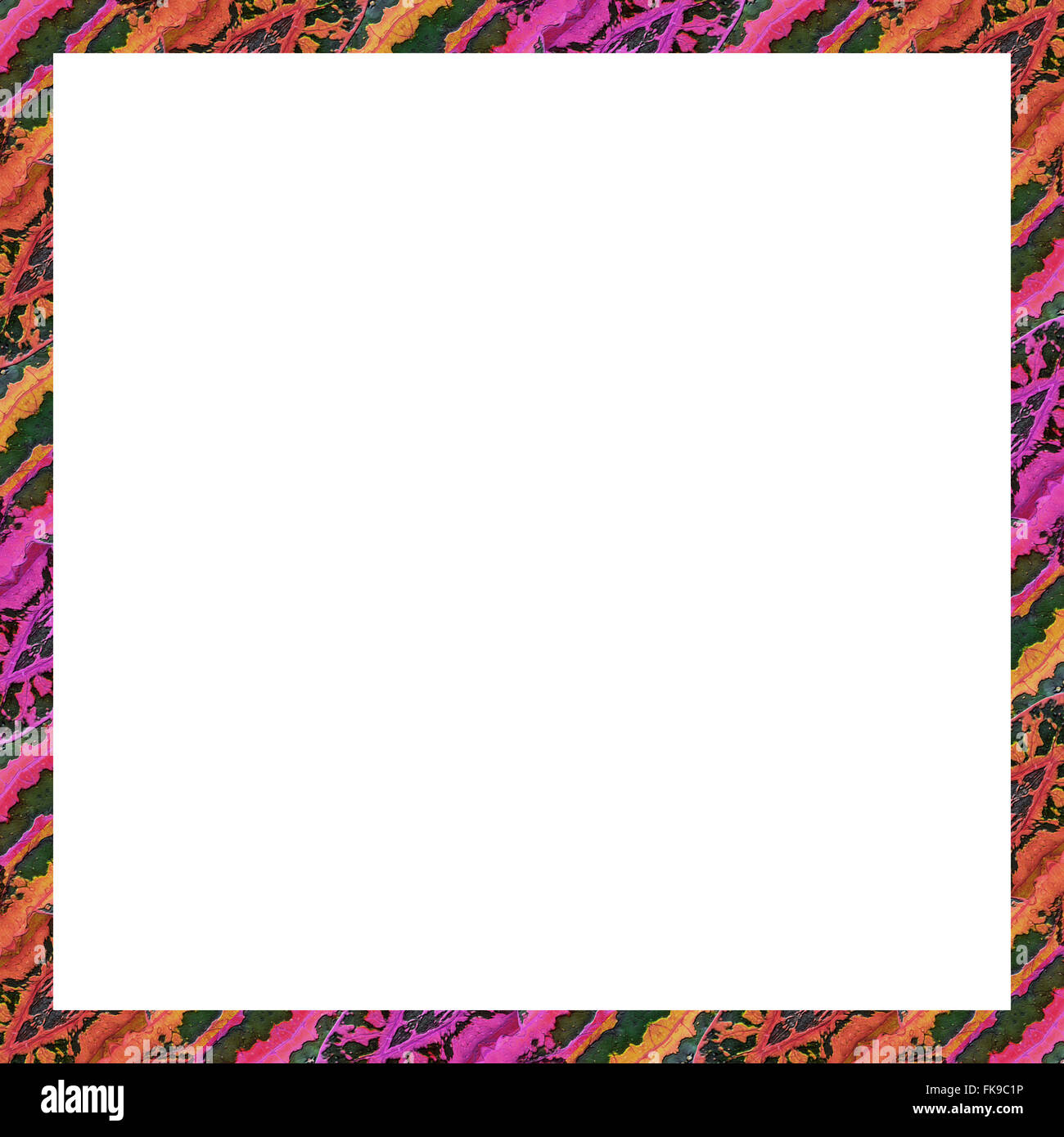 Simple Colorful Borders