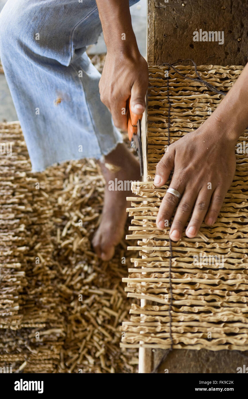 Crafts with straw Pataua - common palm in the Amazon - bataua ...