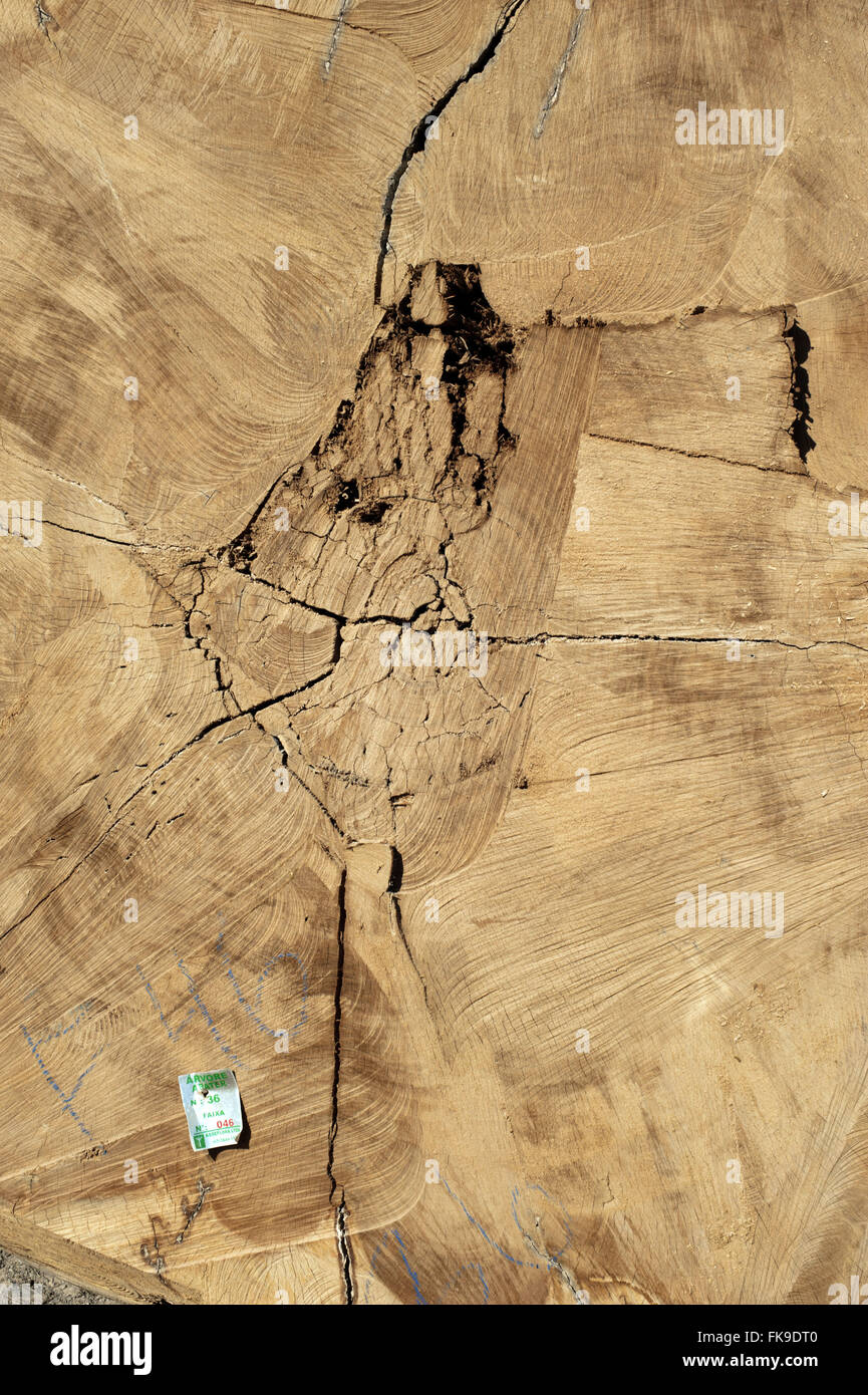 Timber wood log hi-res stock photography and images - Alamy