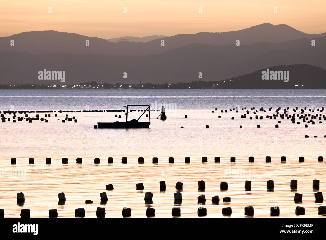 Fishing boat amid the cultivation of shellfish in the district of ...