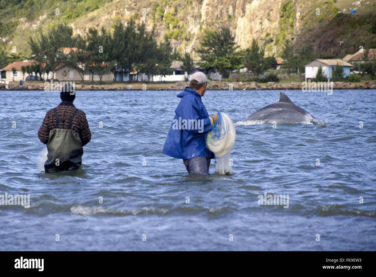 Dolphin net hi-res stock photography and images - Alamy