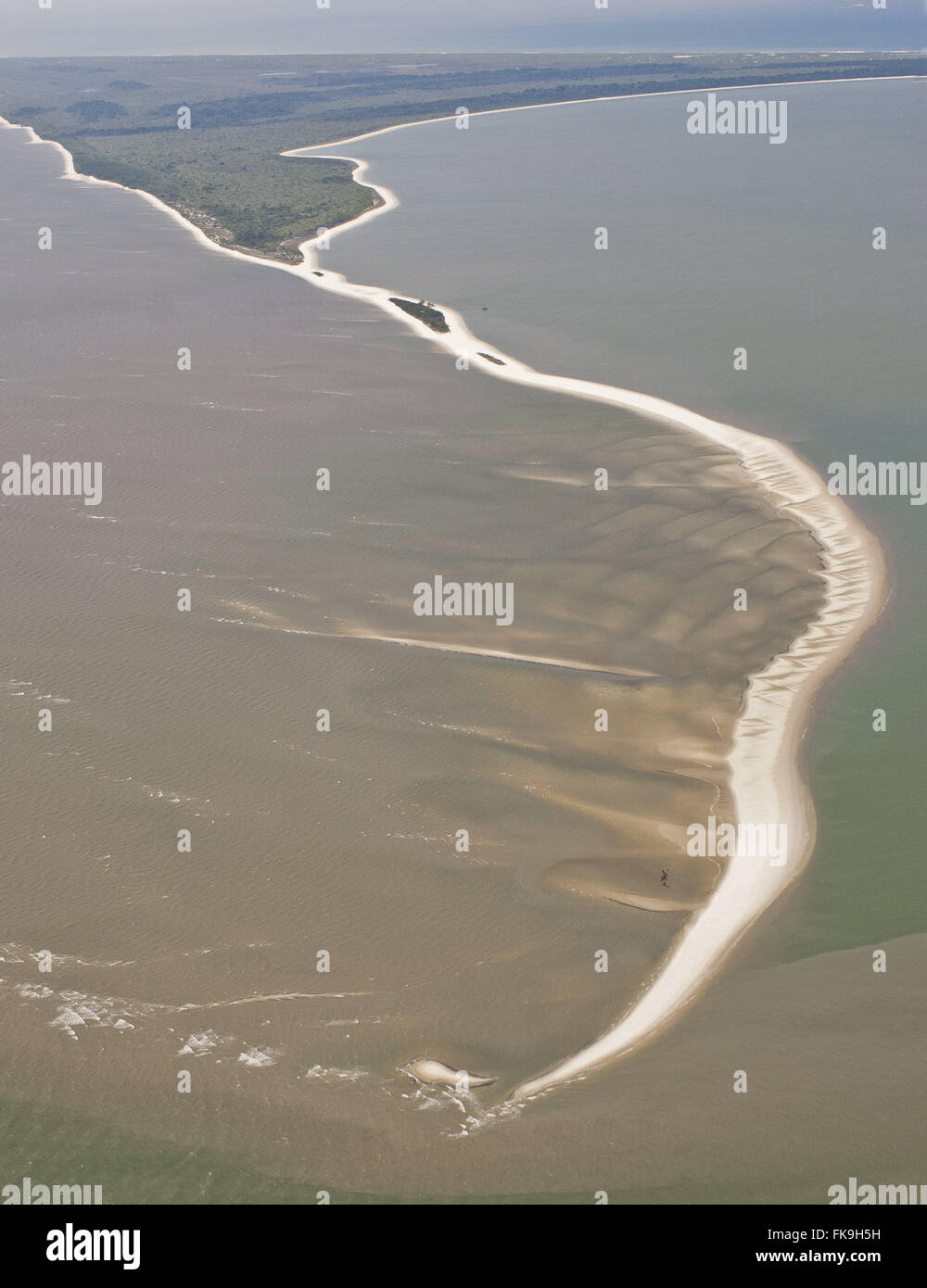 Restinga da marambaia hi-res stock photography and images - Alamy
