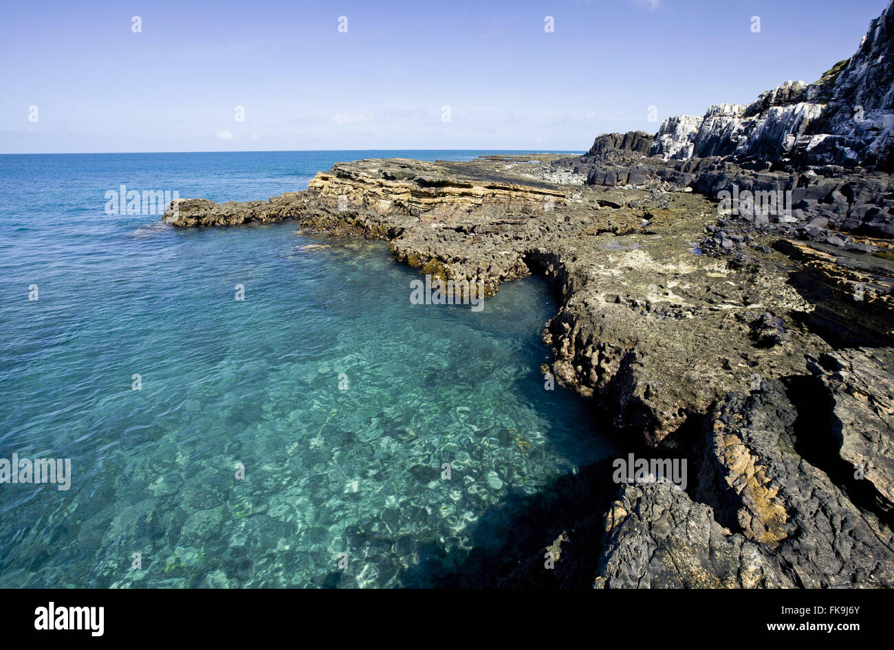 Siriba Island - one of the five islands of the archipelago of Abrolhos ...