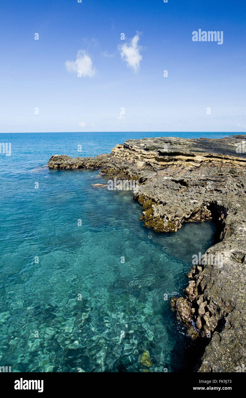 Siriba Island - one of the five islands of the archipelago of Abrolhos ...