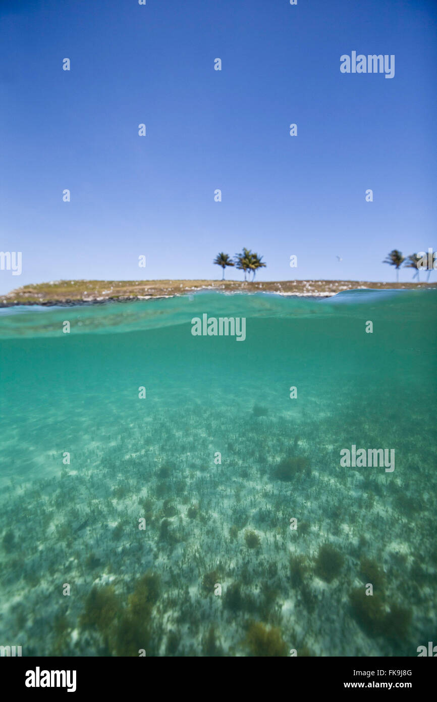 Siriba Island - one of the five islands of the archipelago of Abrolhos ...