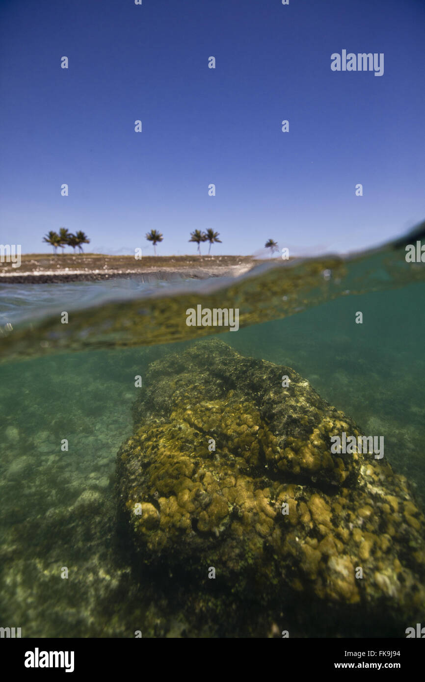Siriba Island - one of the five islands of the archipelago of Abrolhos ...
