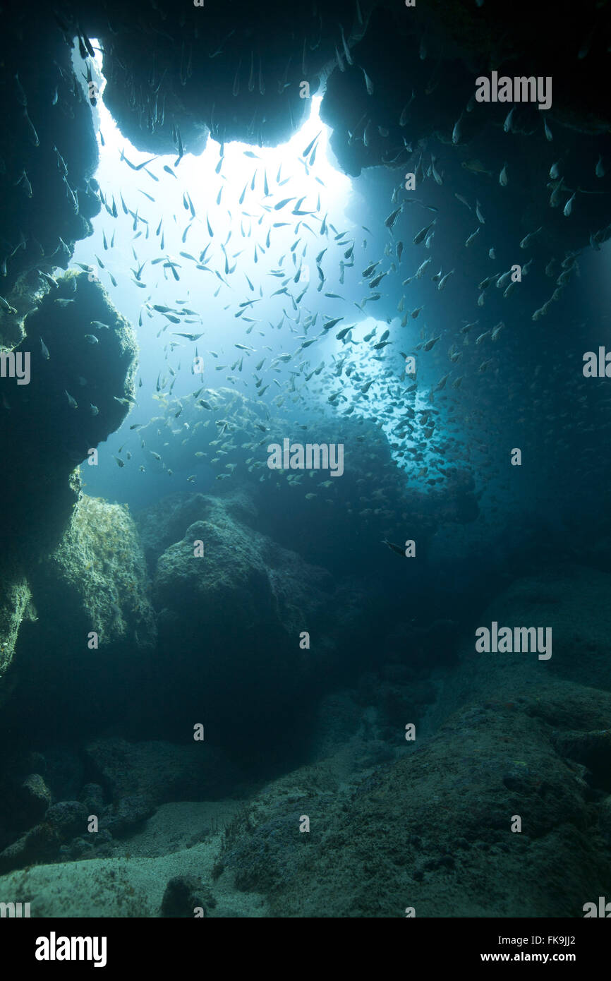 Carverna Siriba Island in the Abrolhos archipelago with papudinhas ...