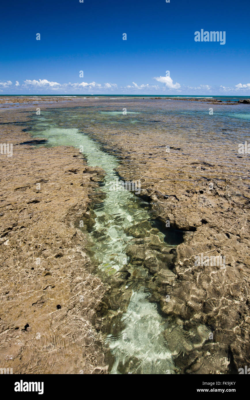 Reefs in the natural pools in Morere - Boipeba - Archipelago Tinhare ...