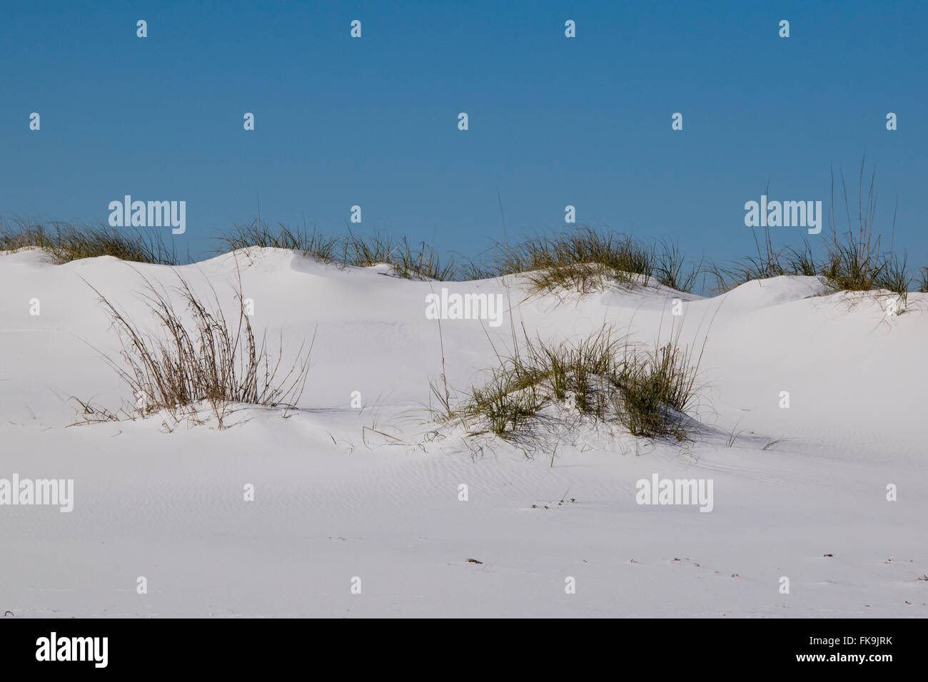 Sand dunes on Okaloosa Island Stock Photo - Alamy