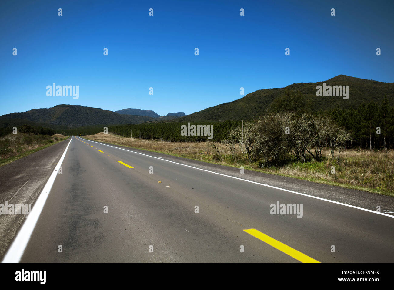 282 hi-res stock photography and images - Alamy
