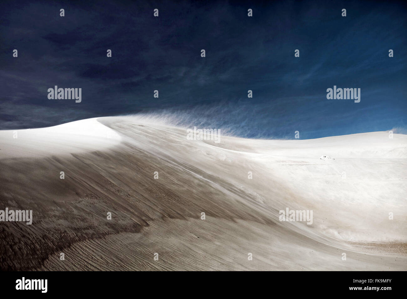 Dunes Beach Siriu - integrated to the Sierra Board State Park - SC ...