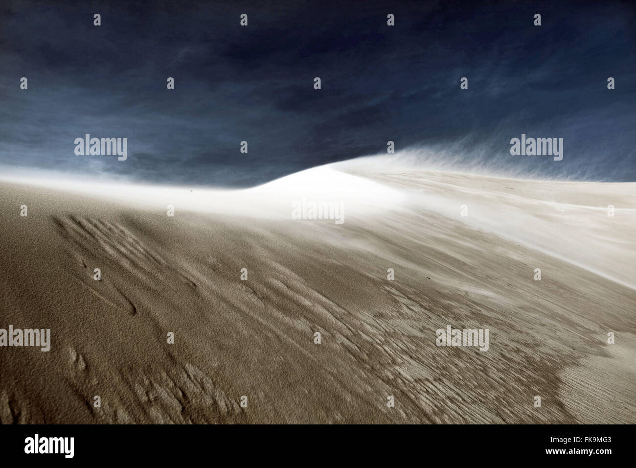 Dunes Beach Siriu - Integrated into the Sierra Board State Park - SC ...