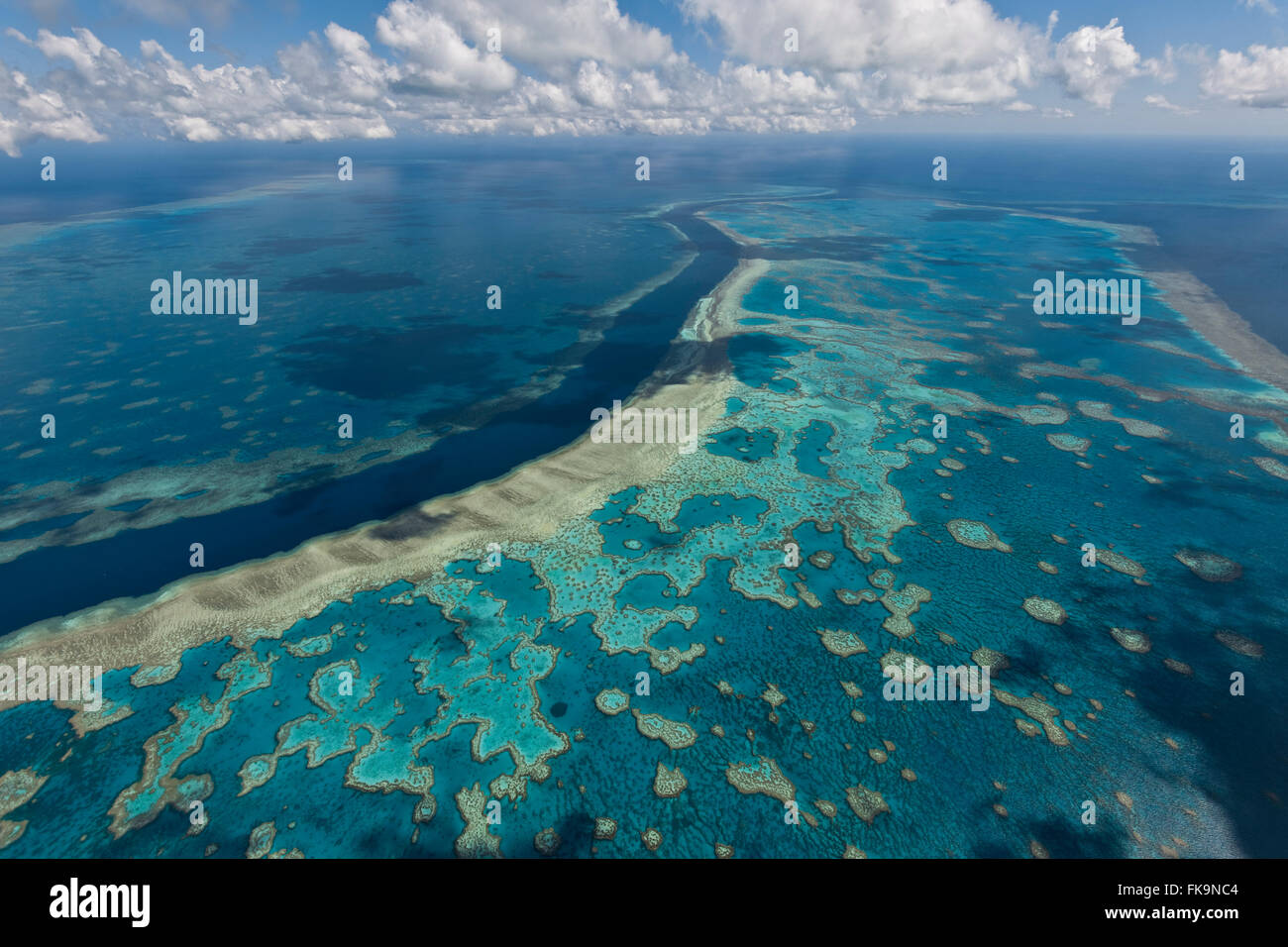 Aerial view of Hardy Reef, home to the heart reef, in the Great Barrier ...