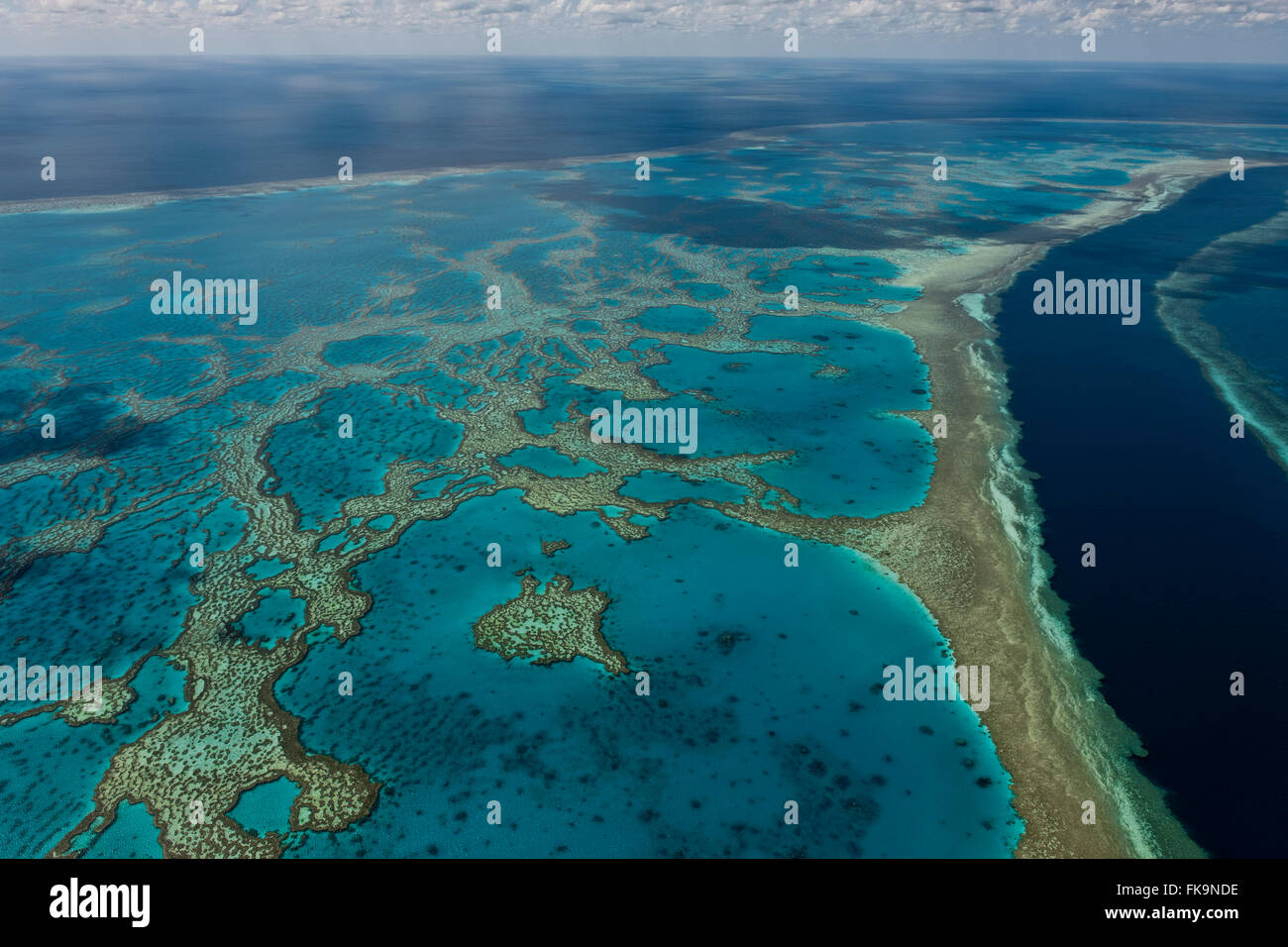 Aerial view of Hardy Reef, home to the heart reef, in the Great Barrier ...