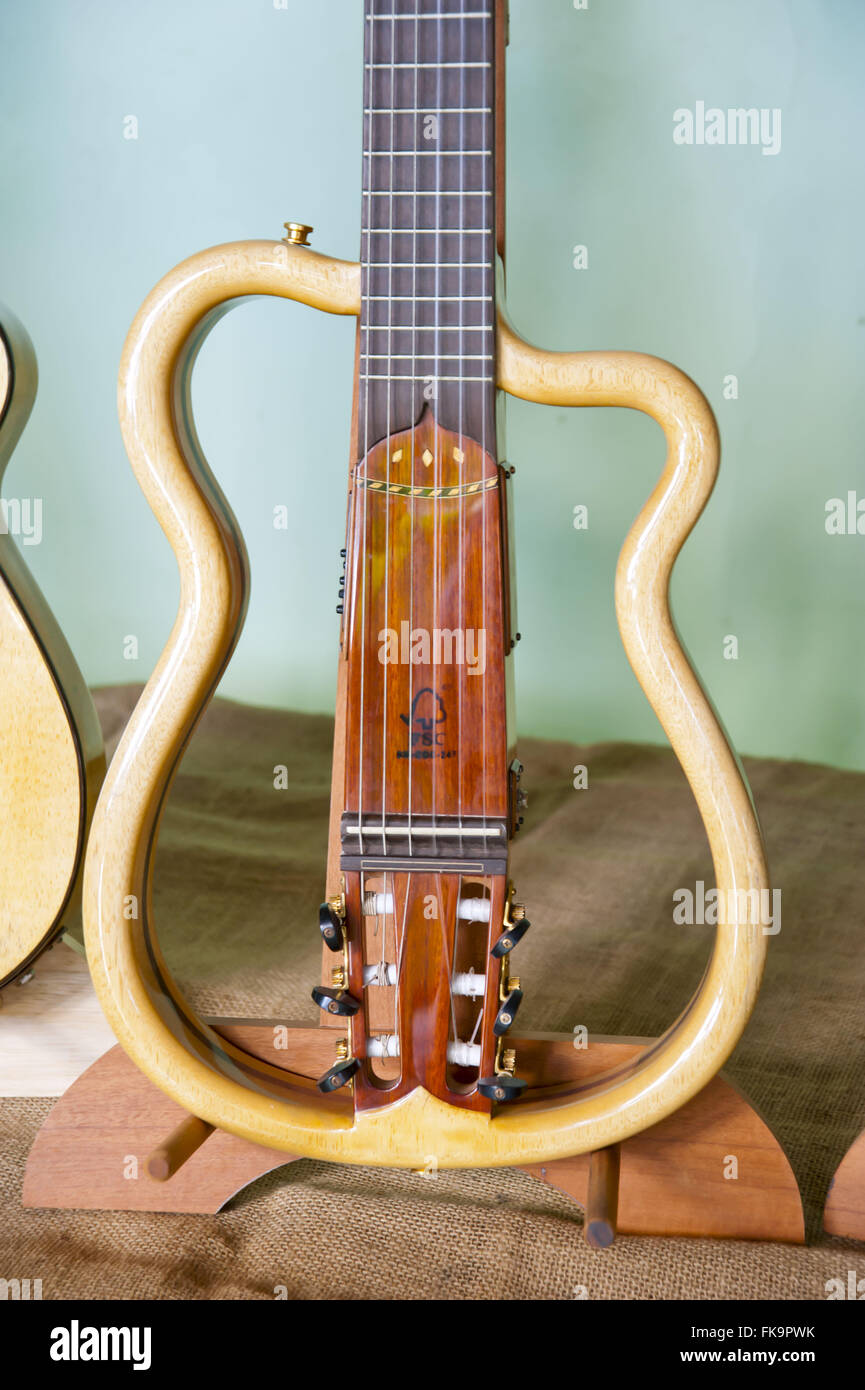 OELA - Luthier Workshop School of Amazonia Stock Photo - Alamy