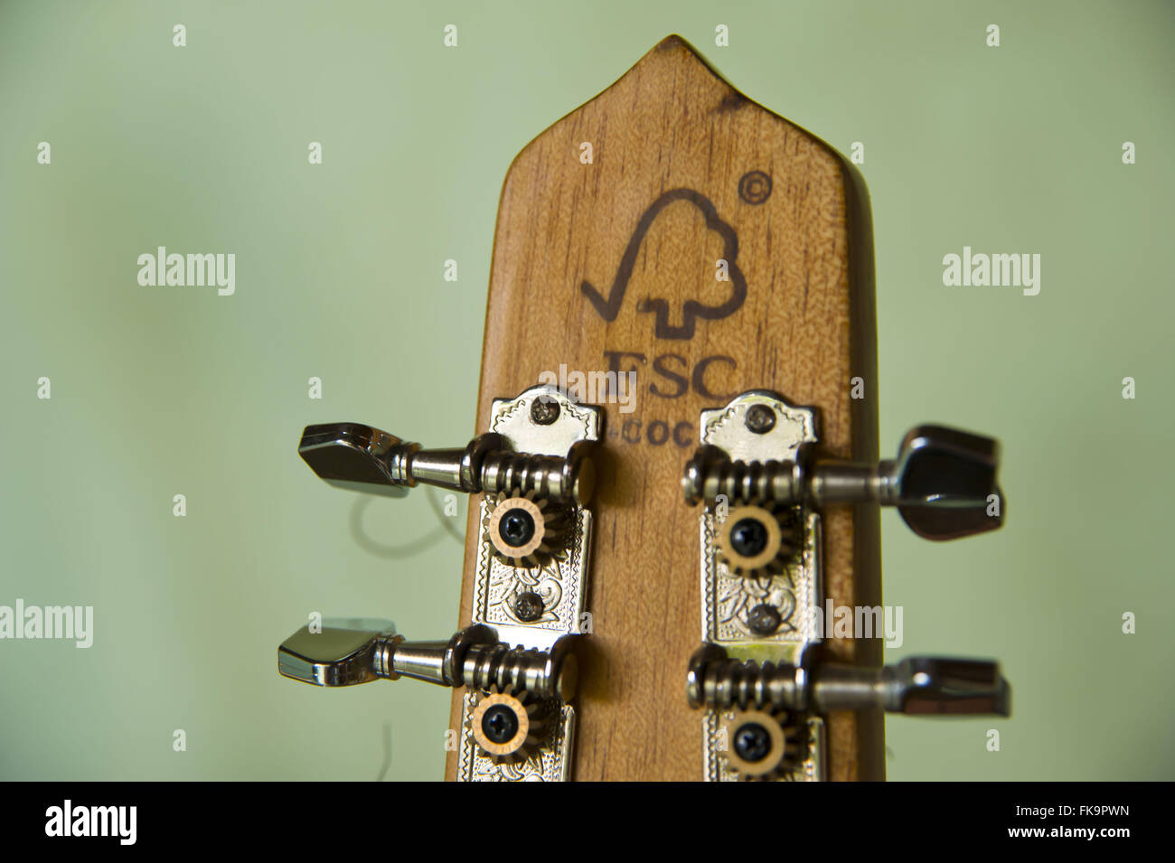 OELA - Luthier Workshop School of Amazonia Stock Photo - Alamy