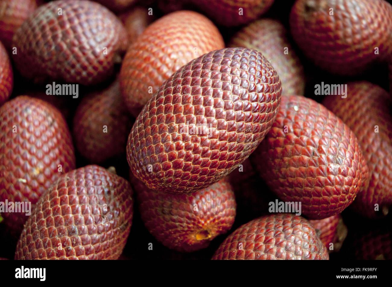 Buriti hi-res stock photography and images - Alamy