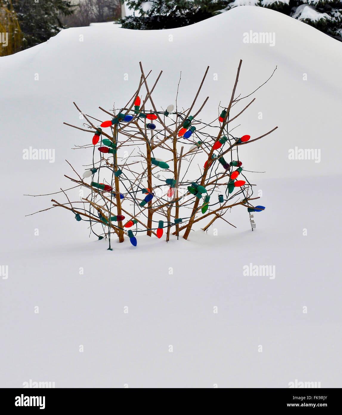 Pathetic christmas tree hi-res stock photography and images - Alamy