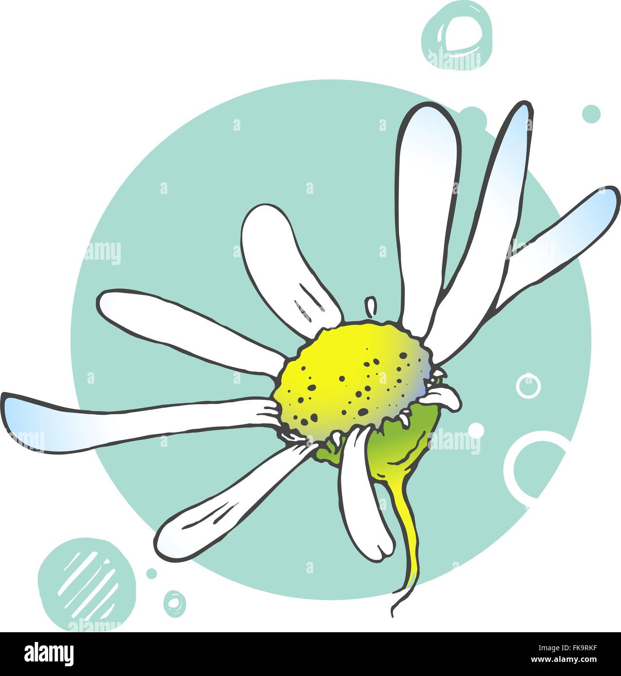 Blooming flower illustration Stock Vector Image & Art - Alamy